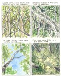 Birches by Robert Frost | julian peters comics